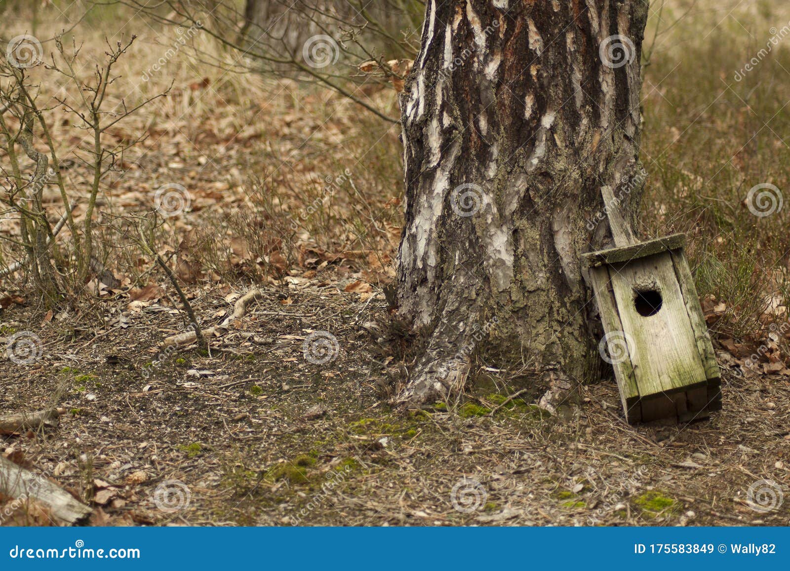 Destroyed birdhouse stock image. Image of park, white - 175583849