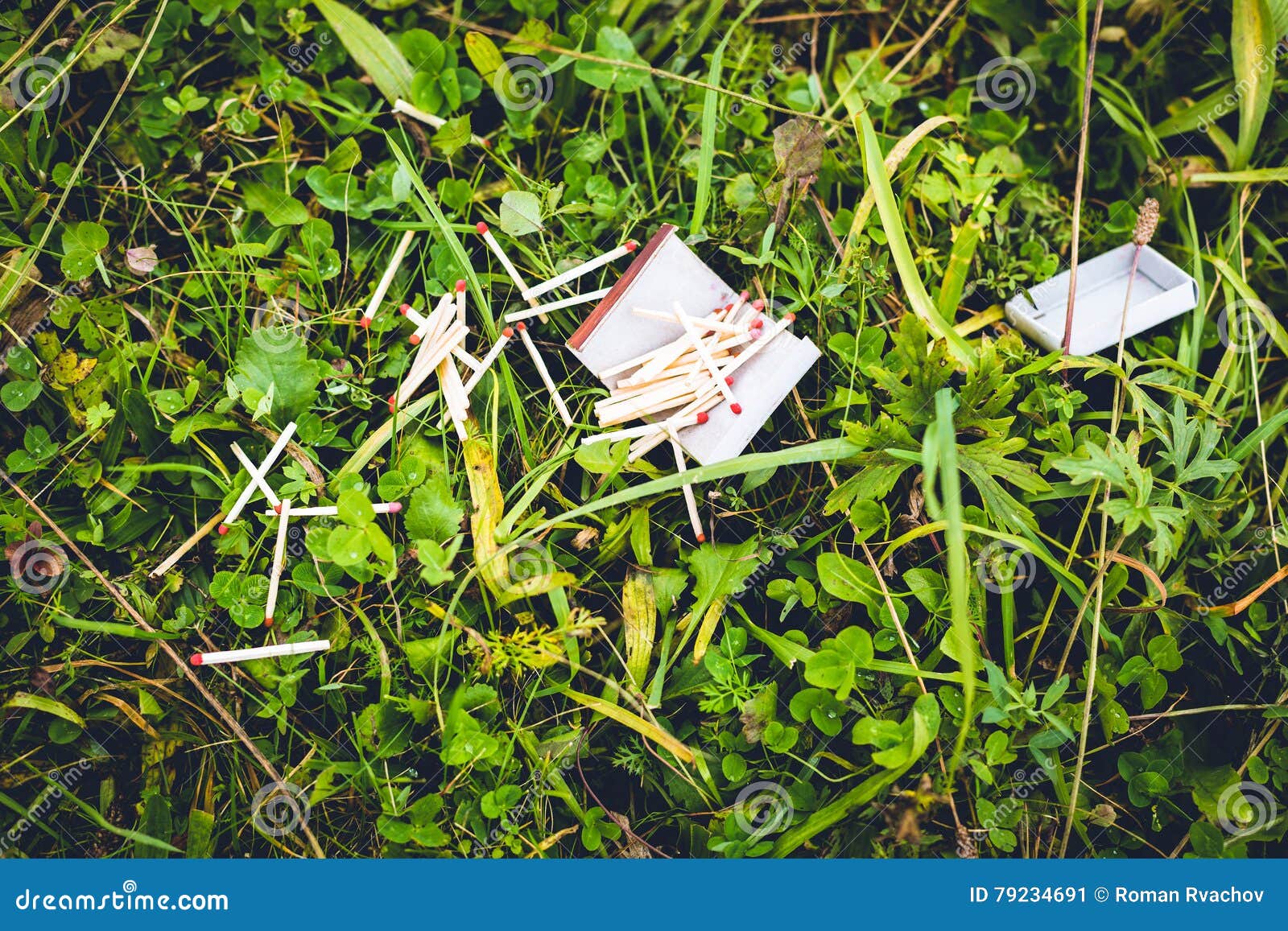 Destroyed Box of Matches on the Green Grass. Stock Image - Image of ...