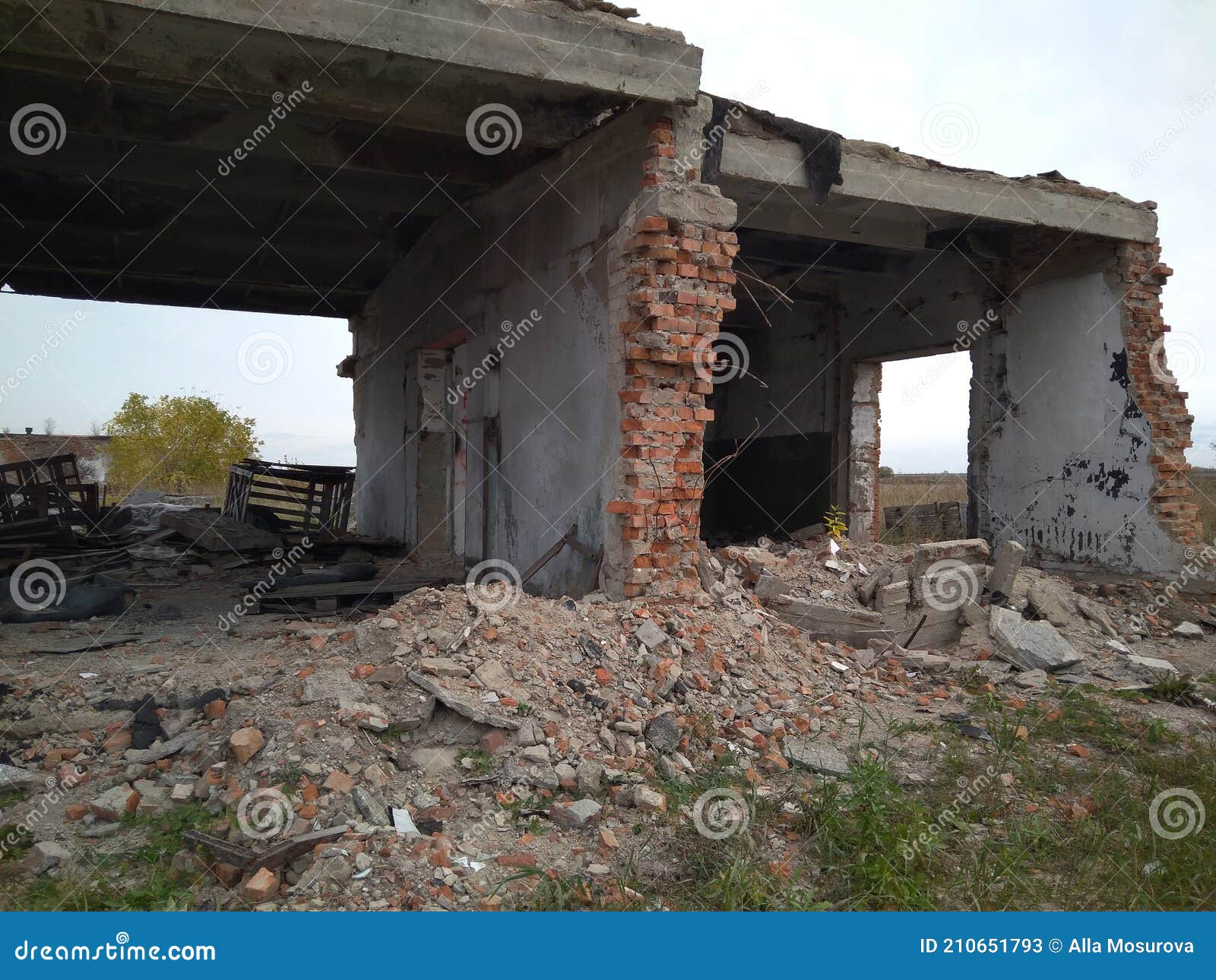 Destroyed Brick Building Abandoned House in the Grass Broken Foundation ...