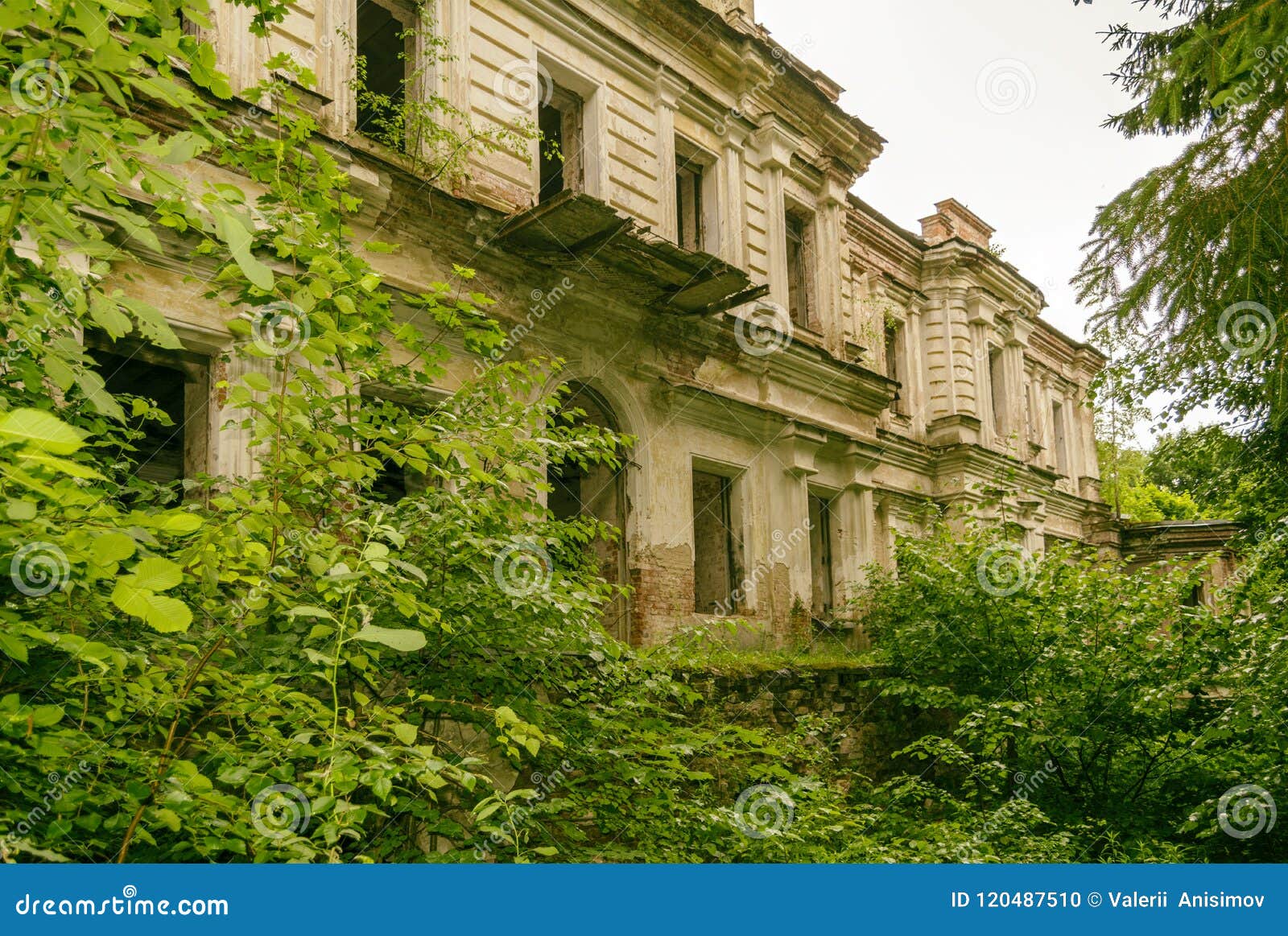 Destroyed Building of the Palace. Ruins of the Estate in the Forest ...
