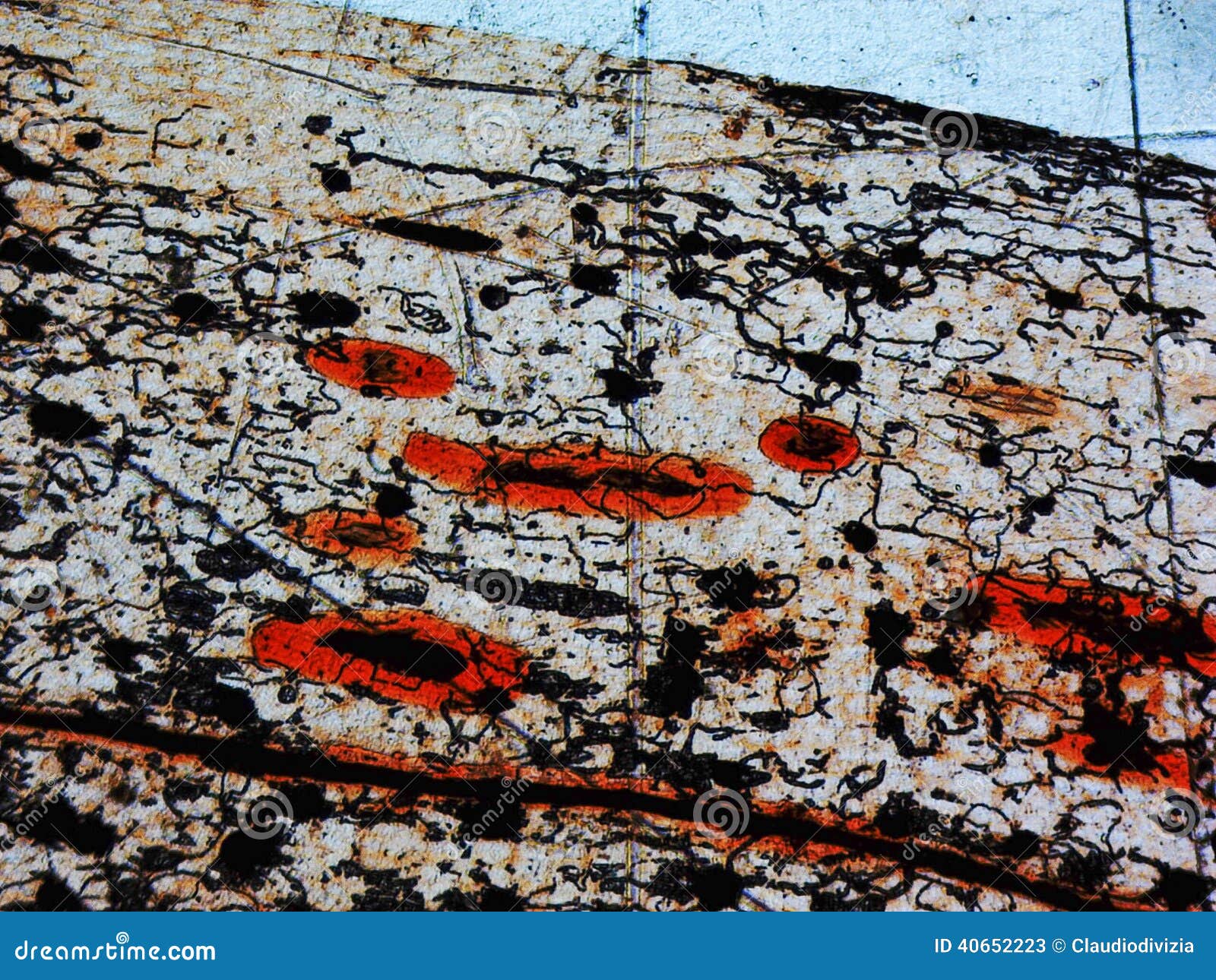 Destroyed cells stock image. Image of micrograph, detail - 40652223