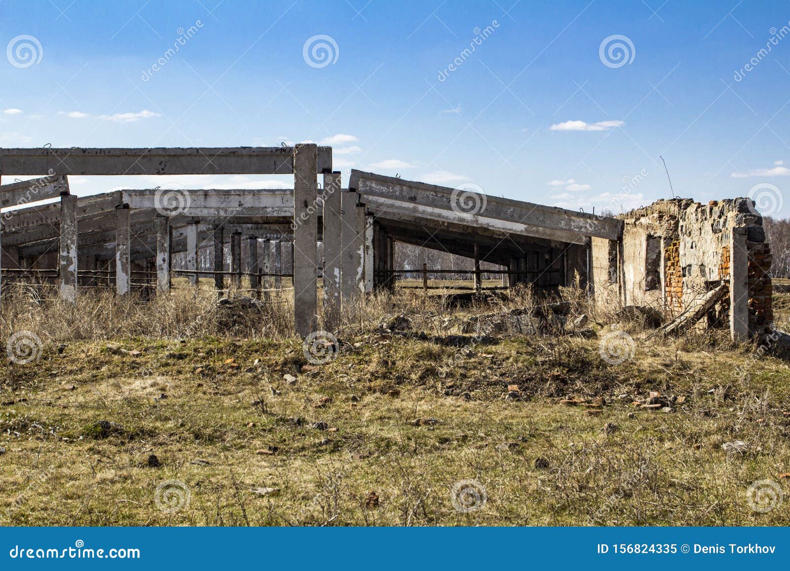 Destroyed Cow Farm after the Financial Crisis Stock Image - Image of ...
