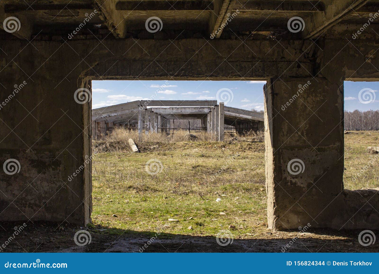 Destroyed Cow Farm after the Financial Crisis Stock Photo - Image of ...
