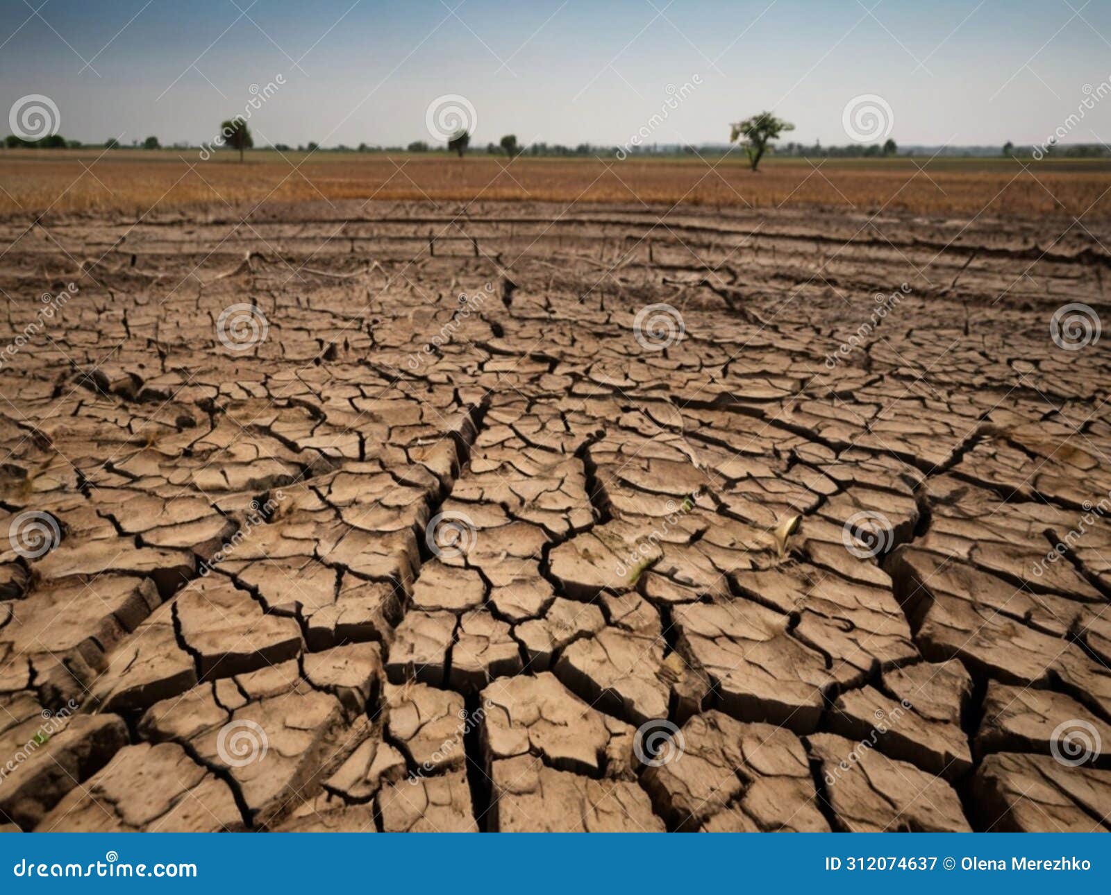 Destroyed Farmland after Drought. Stock Illustration - Illustration of ...