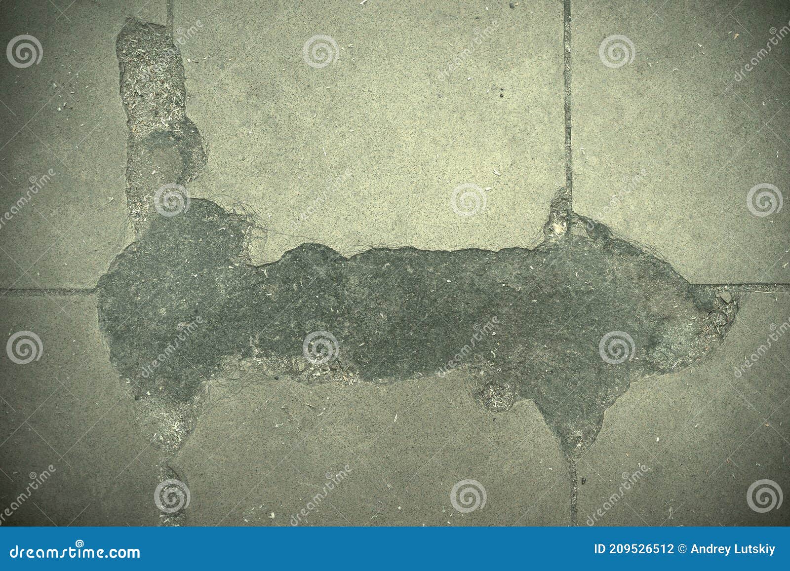 Destroyed Gray Floor Tiles on the Floor of the House Stock Photo ...