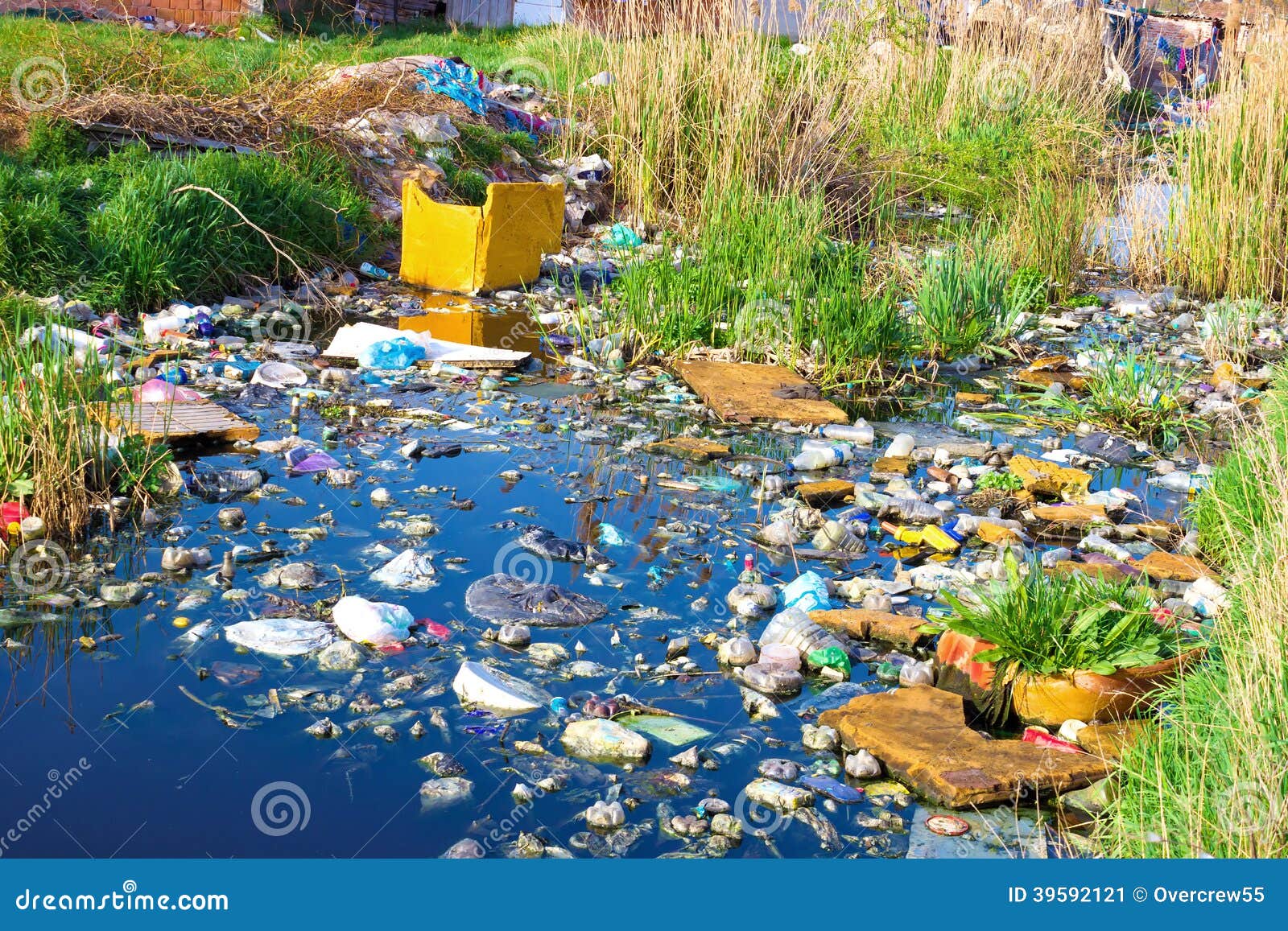 Destroyed nature stock image. Image of ecology, protection - 39592121