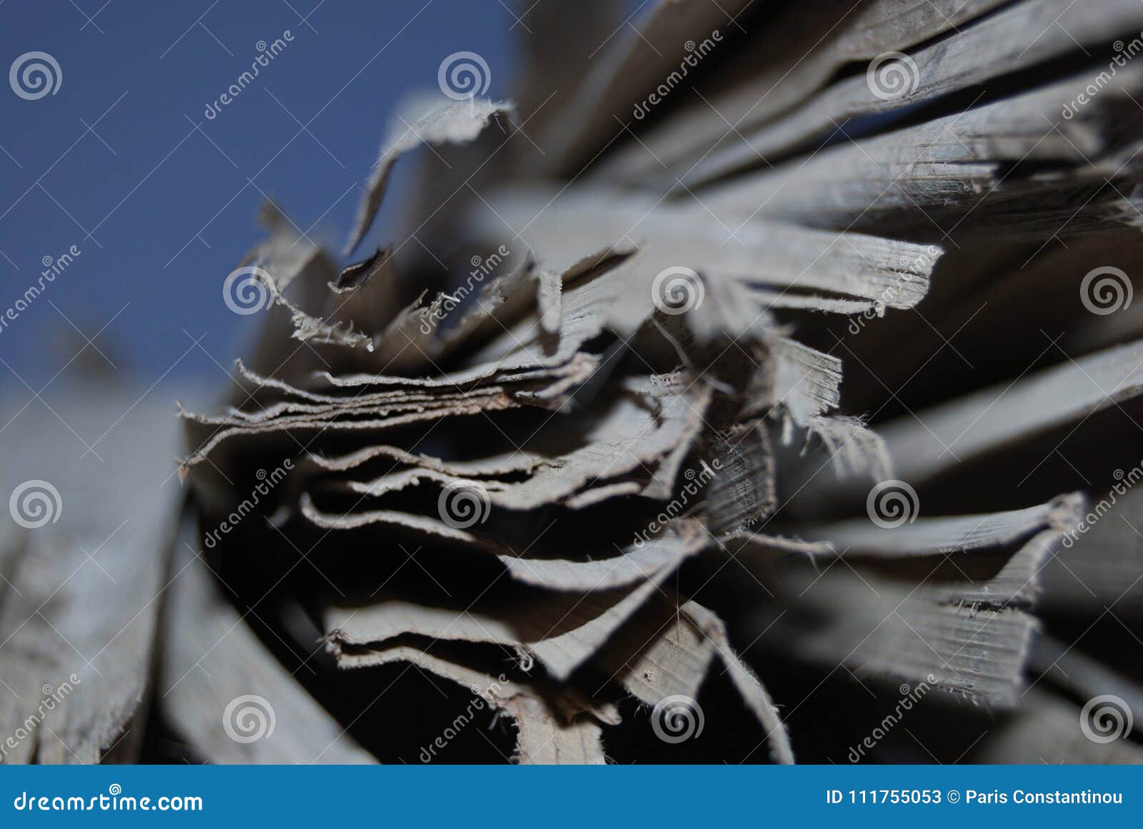 Destroyed paper stock image. Image of paper, grey, strips - 111755053