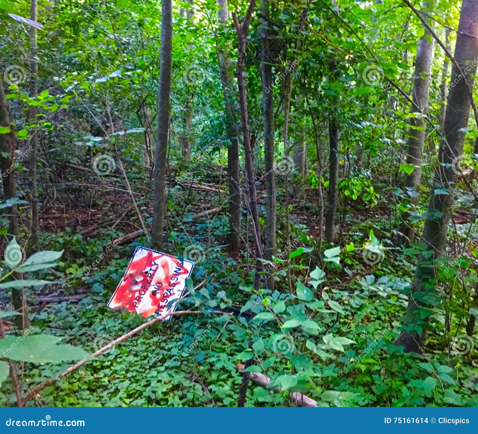 Destroyed Sign stock photo. Image of graffiti, graffitied - 75161614