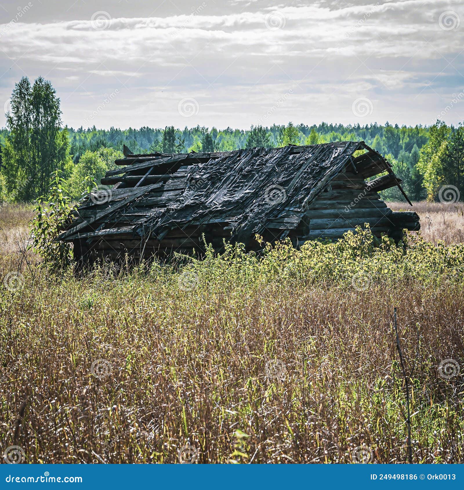Destroyed village house stock photo. Image of loss, front - 249498186
