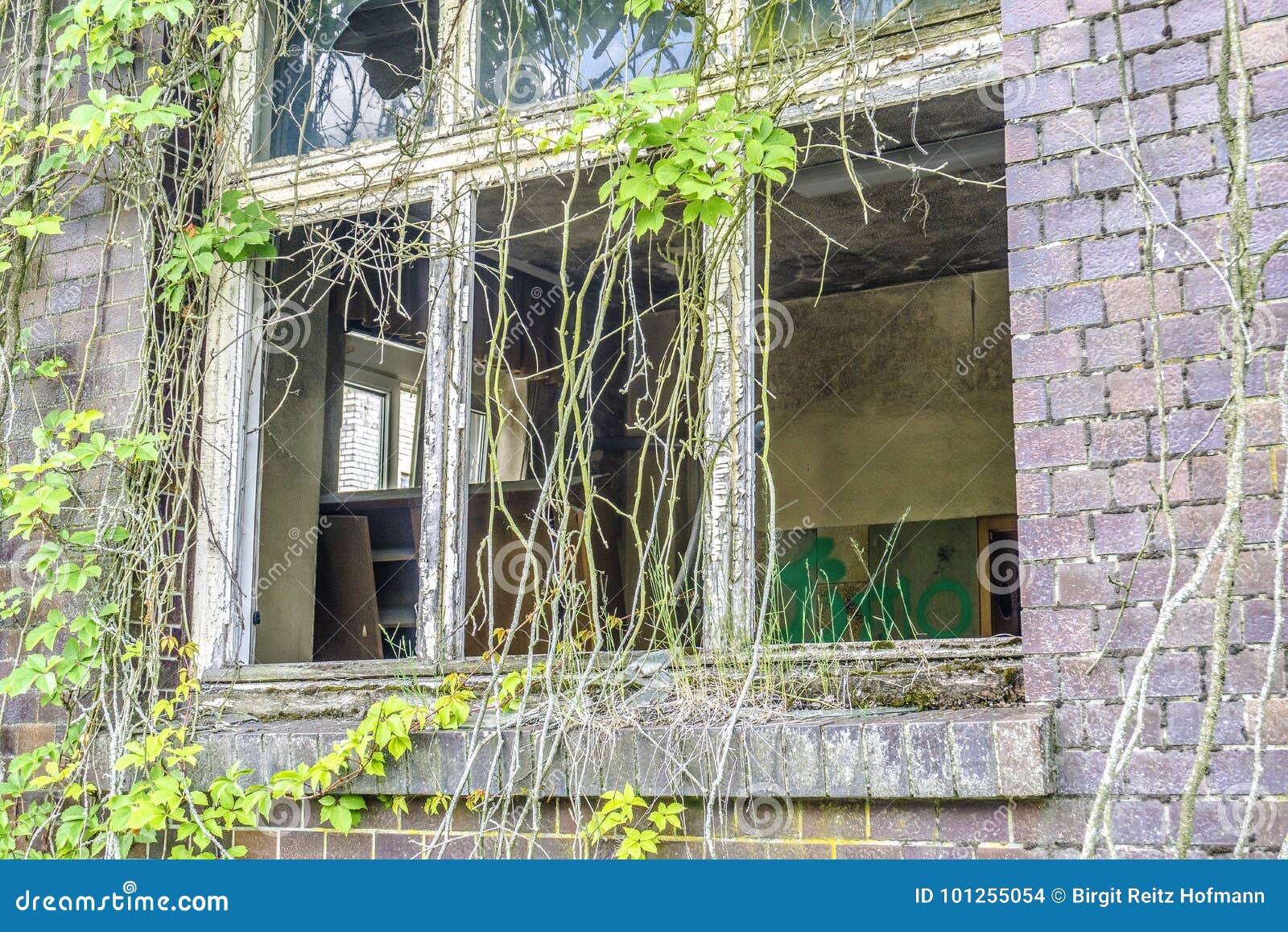 Destroyed window glass stock photo. Image of destroy - 101255054