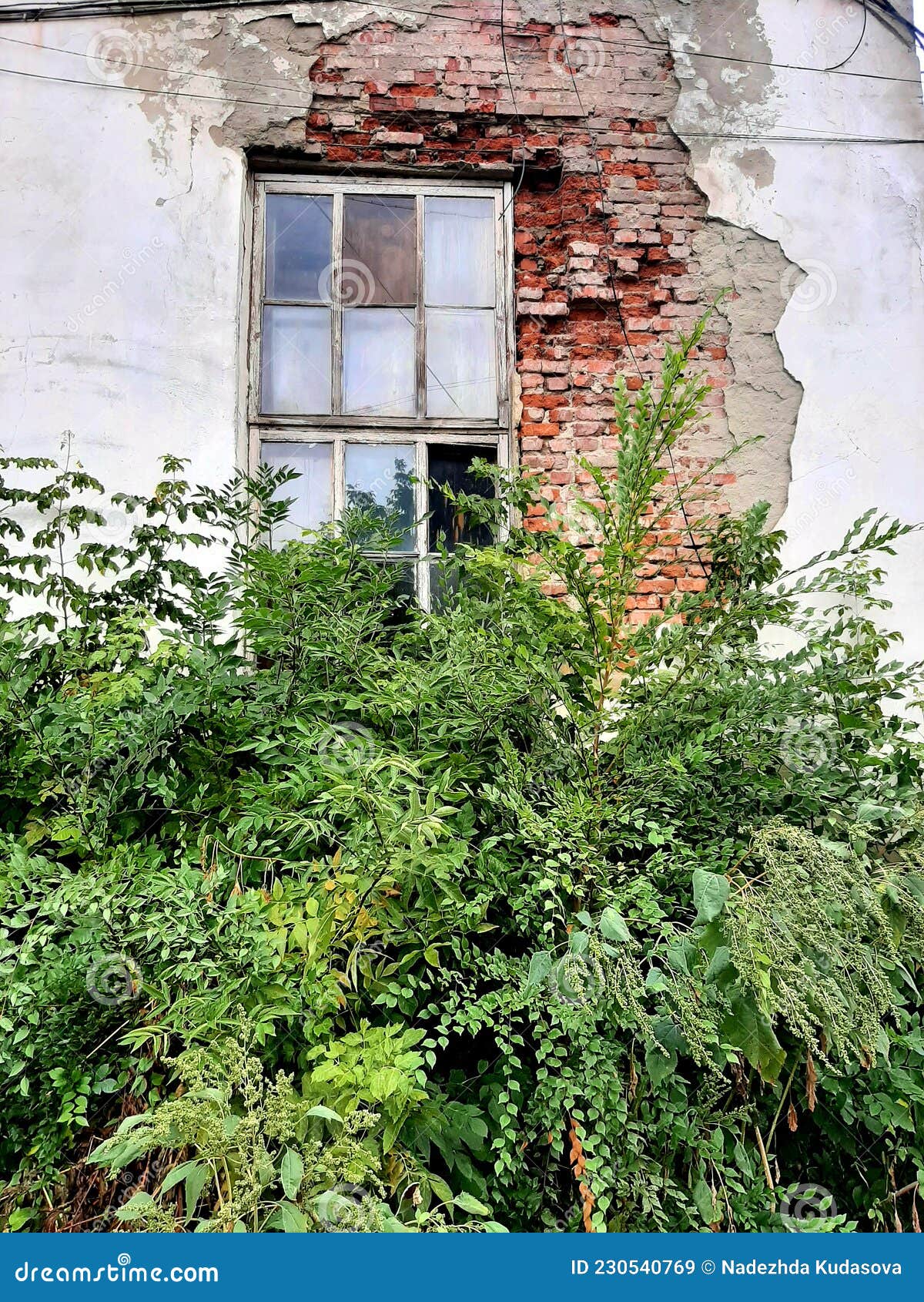 Destroyed Window and Red Brick Wall Stock Image - Image of backyard ...