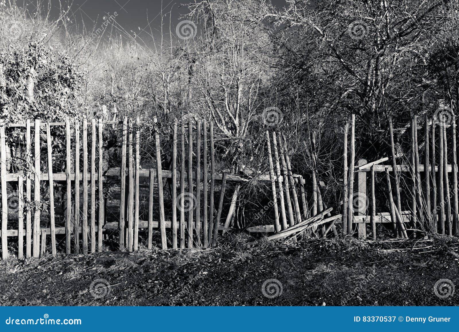 Destroyed wood fence stock image. Image of country, black - 83370537