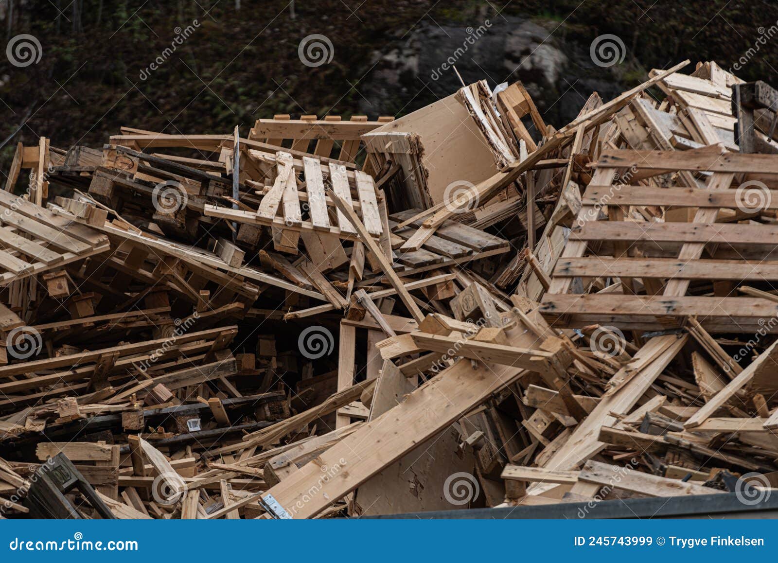 Destroyed Wooden Pallets at a Landfill.. Stock Image - Image of plank ...