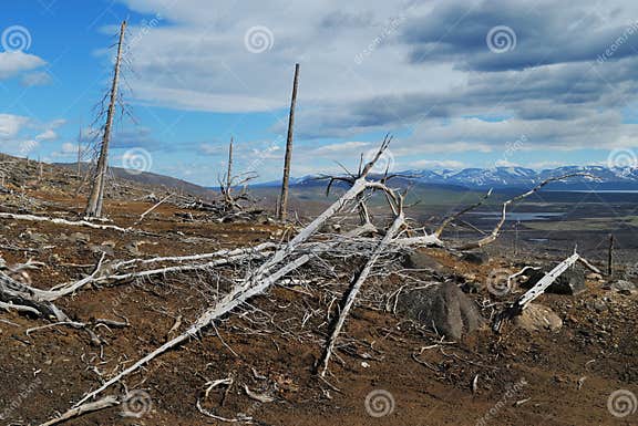 Destroying land stock photo. Image of plant, environment - 10805018