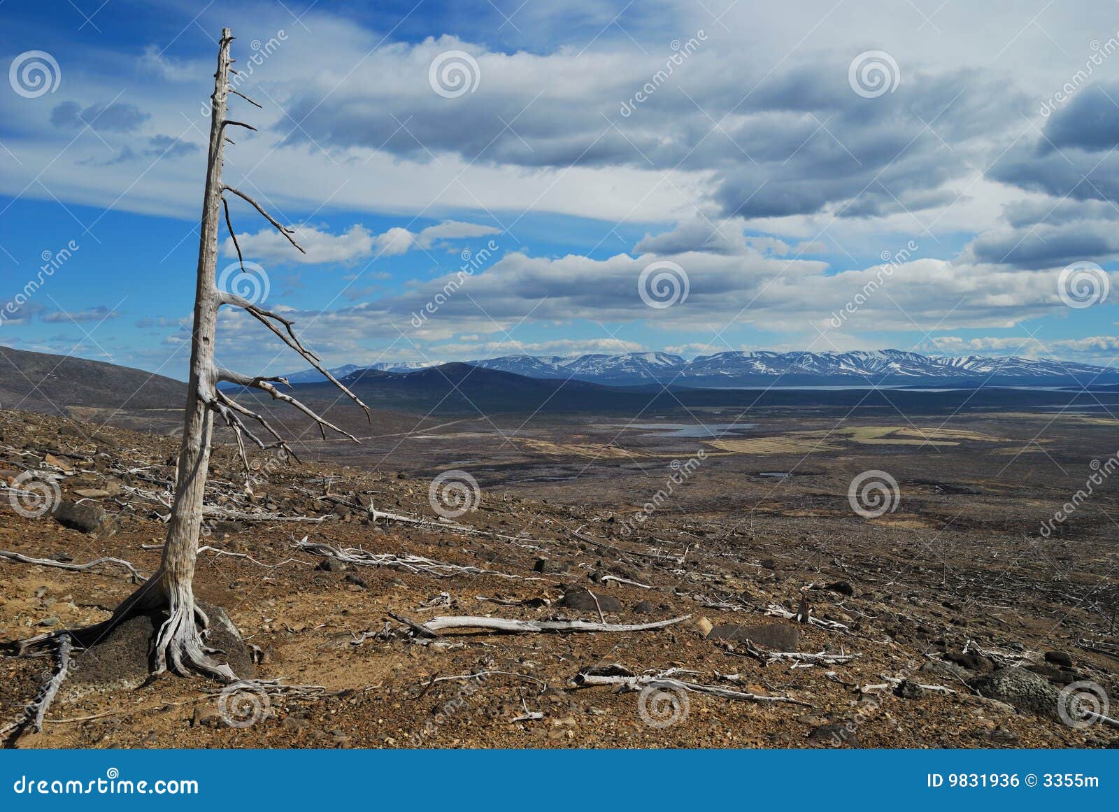 Destroying land stock photo. Image of nature, landscape - 9831936