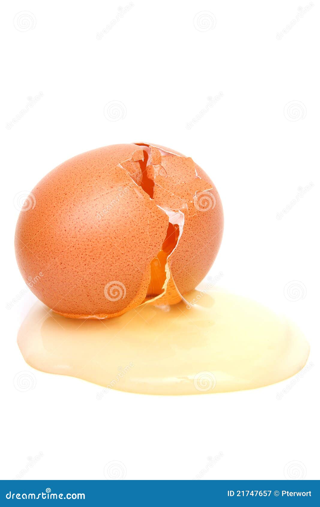 Destructed egg stock image. Image of eggshell, yolk, easter - 21747657