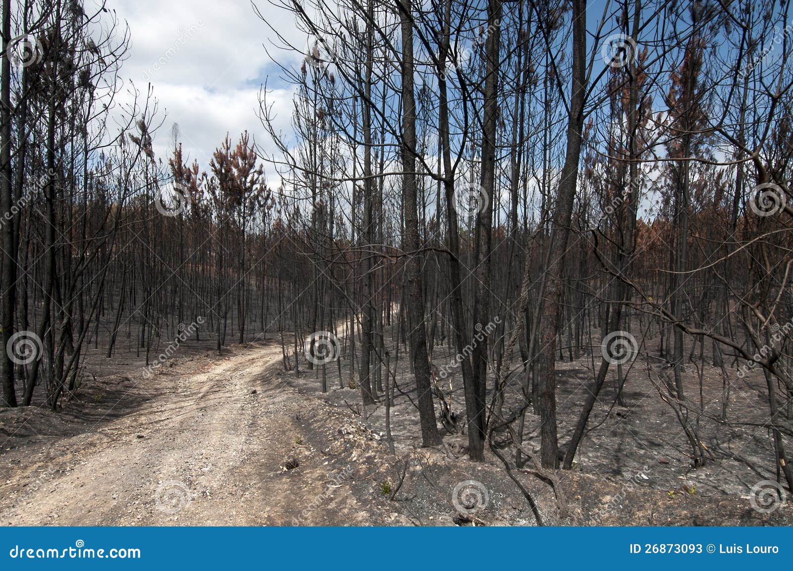 Destruction stock image. Image of dark, death, destruction - 26873093