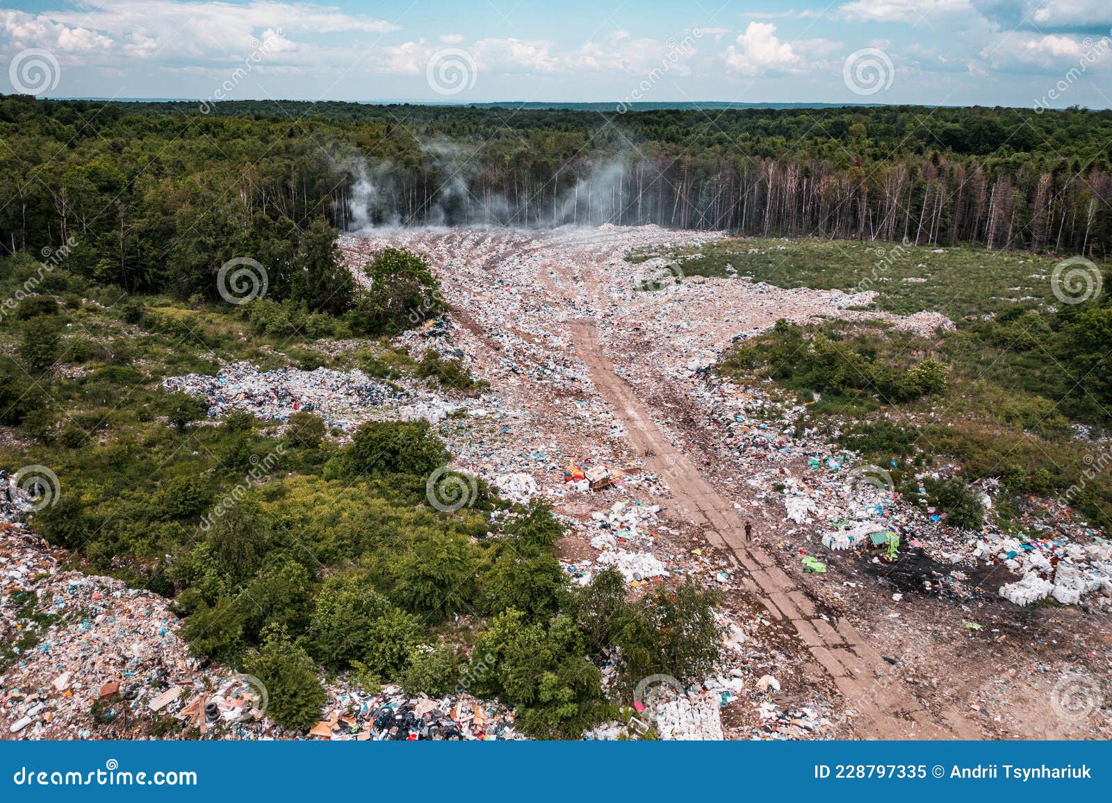 Destruction of Forests and Ecological System by Garbage Removal in ...