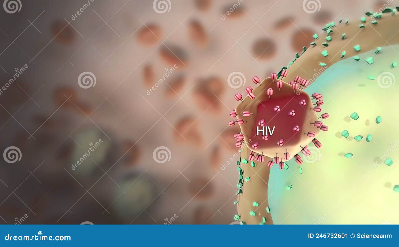 Destructive Effect of Virus on Cells Stock Illustration - Illustration ...