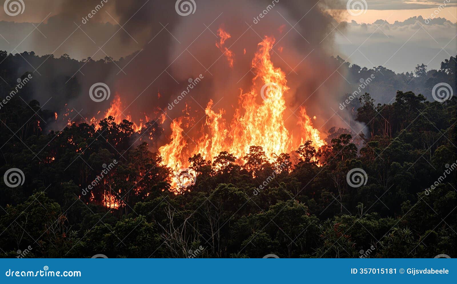 Destructive Wildfire in Lush Papua New Guinea Rainforest Stock ...