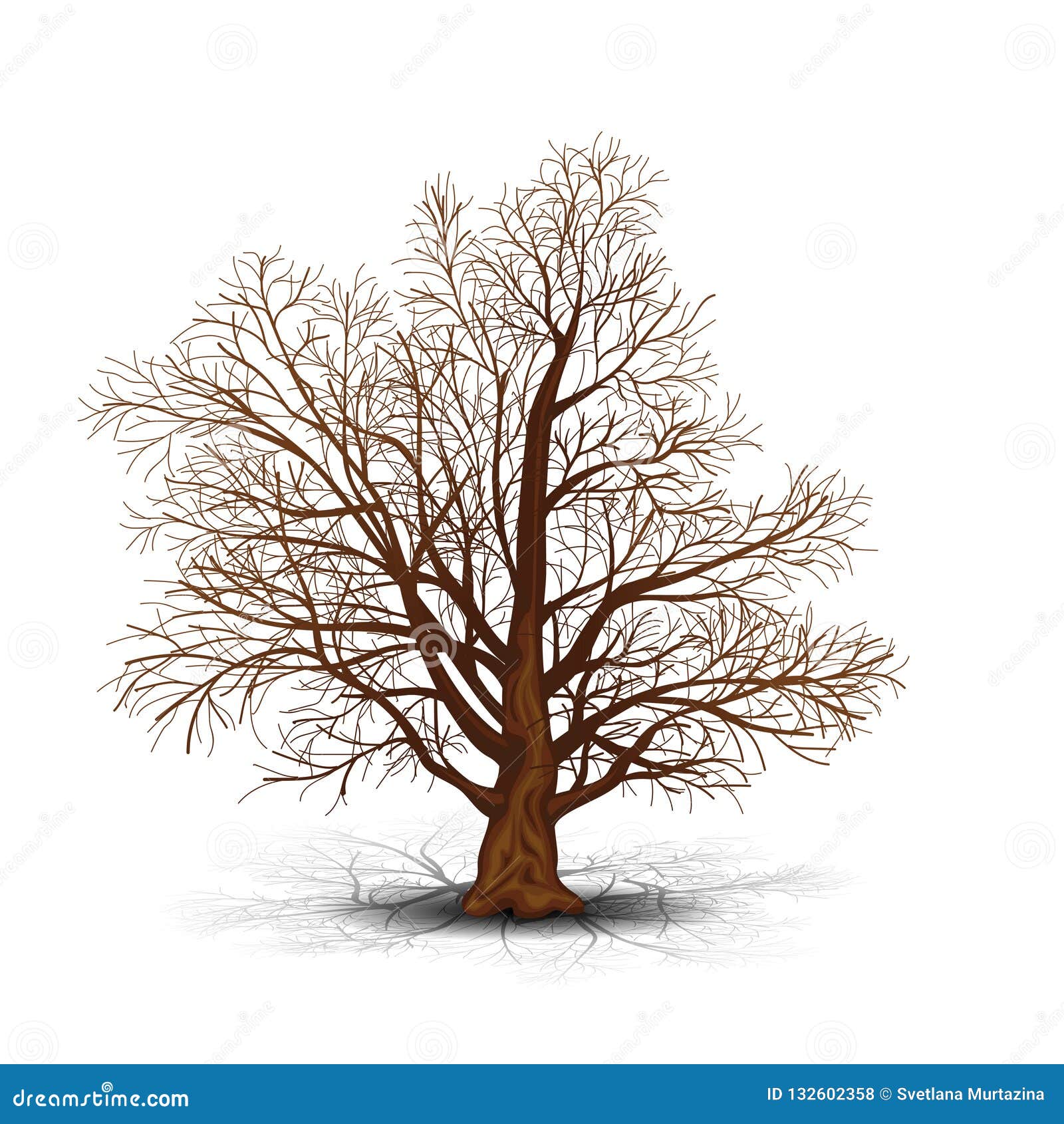 Detached Tree without Leaves with Shadow Stock Vector - Illustration of ...