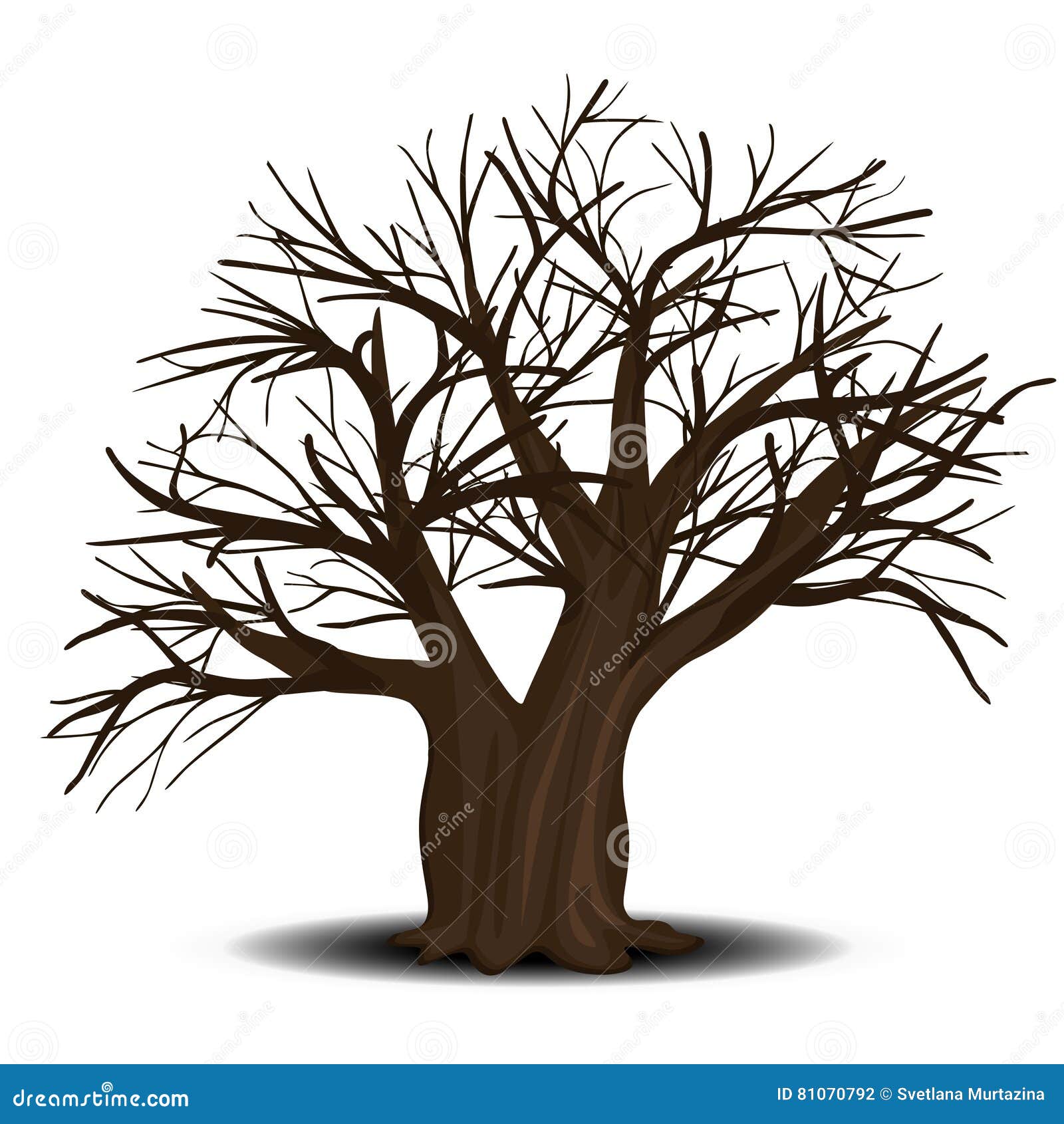 Detached Tree without Leaves with Shadow Stock Vector - Illustration of ...