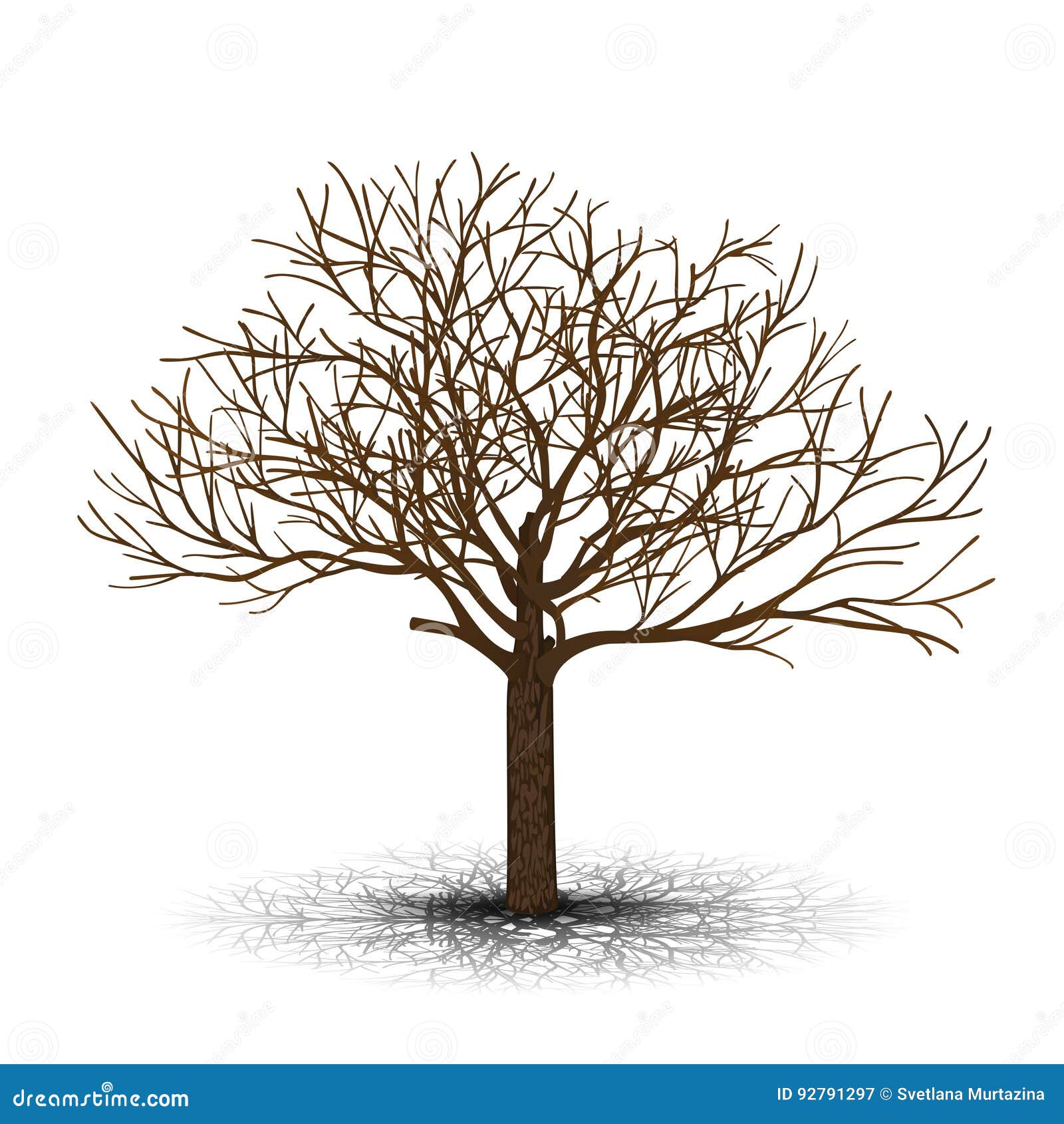 Detached Tree without Leaves with Shadow Stock Vector - Illustration of ...