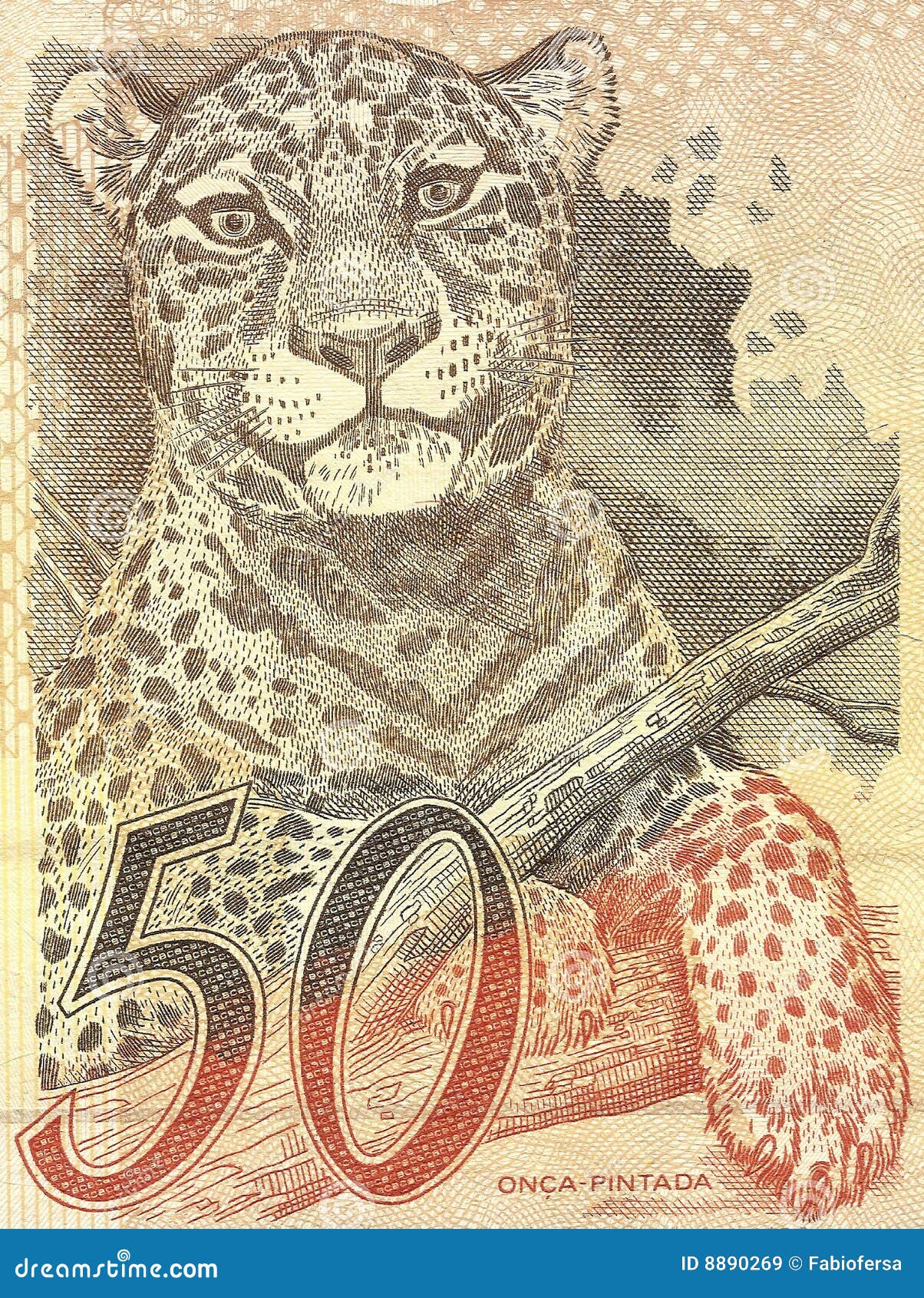 Detail of 50 Real Banknote from Brazil Stock Image - Image of american ...