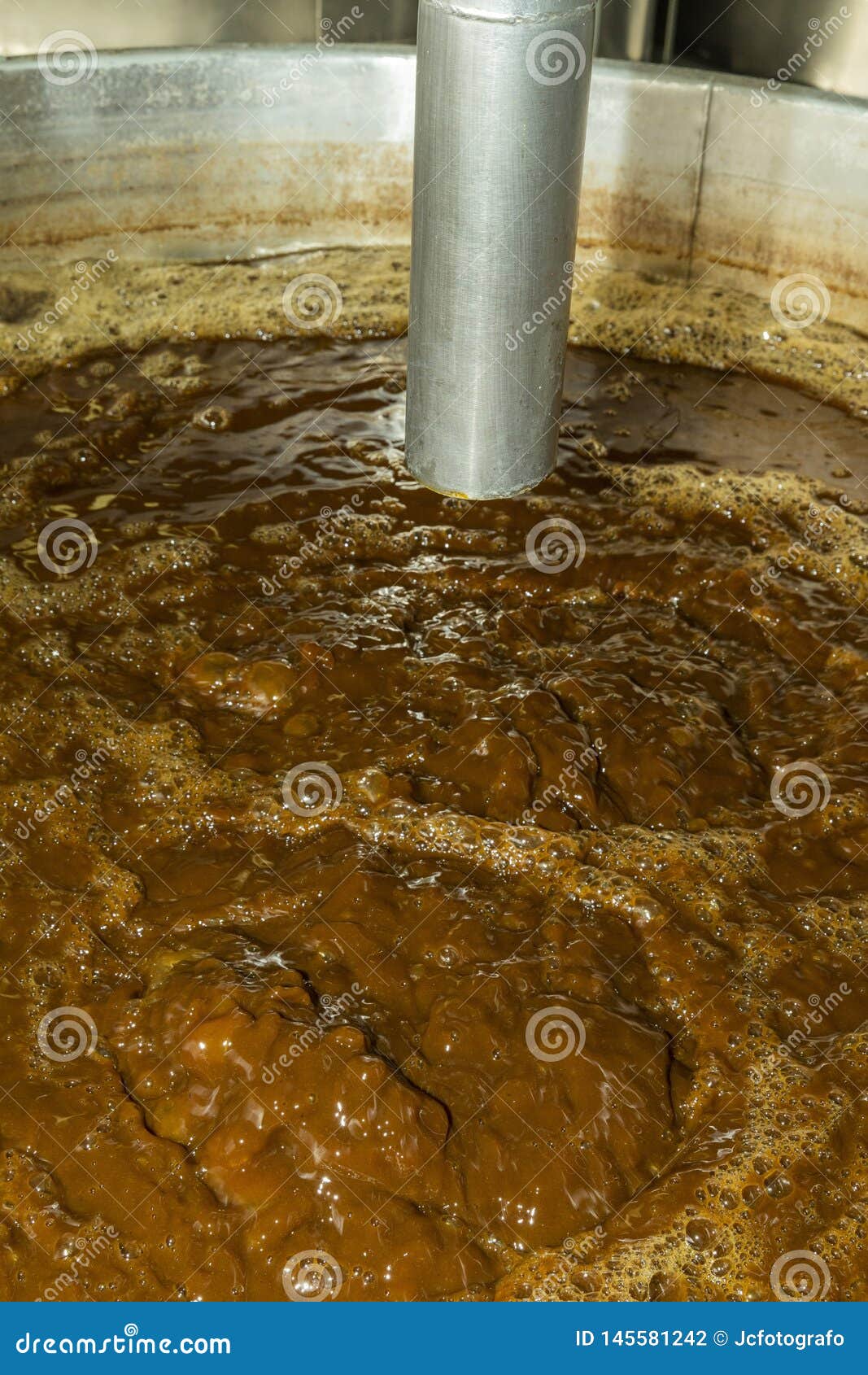 Detail of the agave stock photo. Image of tequila, mexican - 145581242