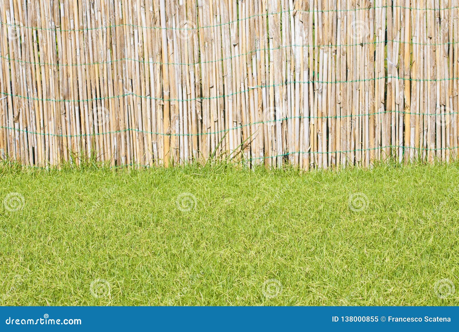 Detail of a Beautiful Green Mowed Lawn with Lathwork Stock Image ...