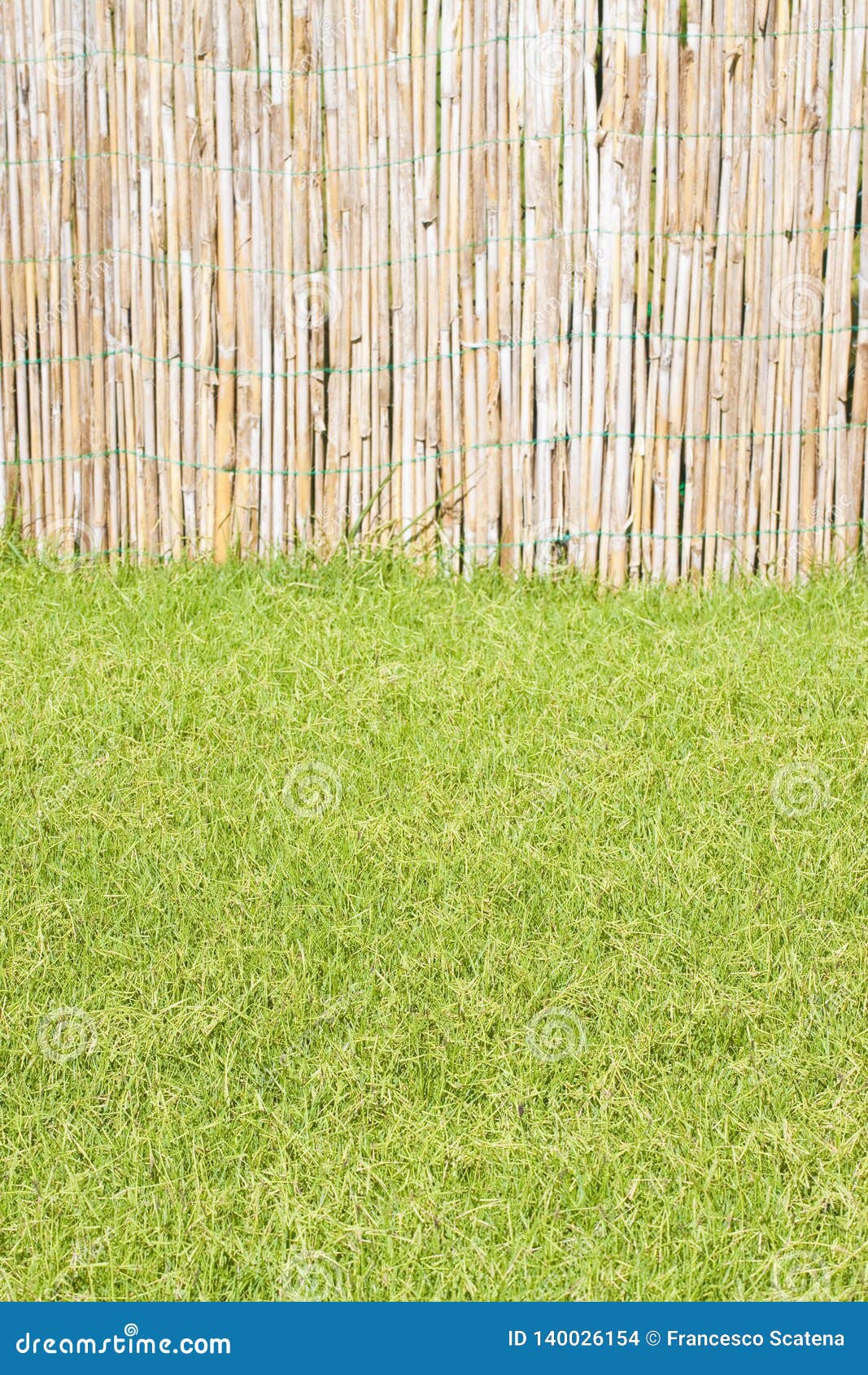 Detail of a Beautiful Green Mowed Lawn with Lathwork Stock Photo ...
