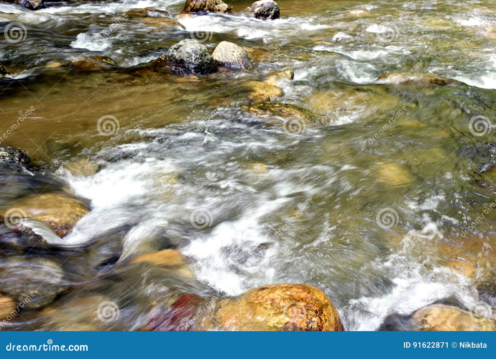 Detail of Beautiful Mountain Stream Stock Image - Image of live ...