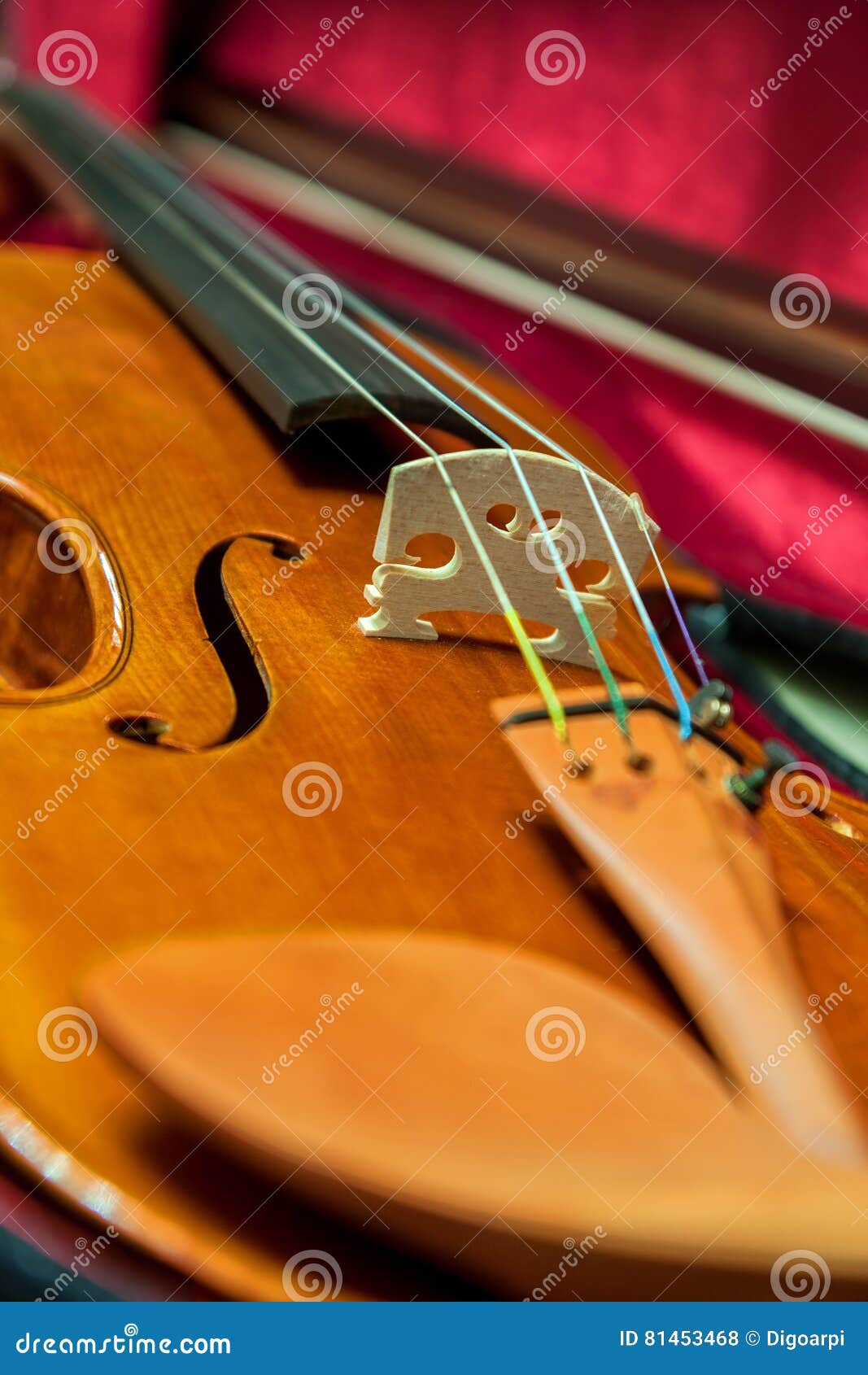 Detail of a Beautiful Violin Stock Photo - Image of music, sound: 81453468