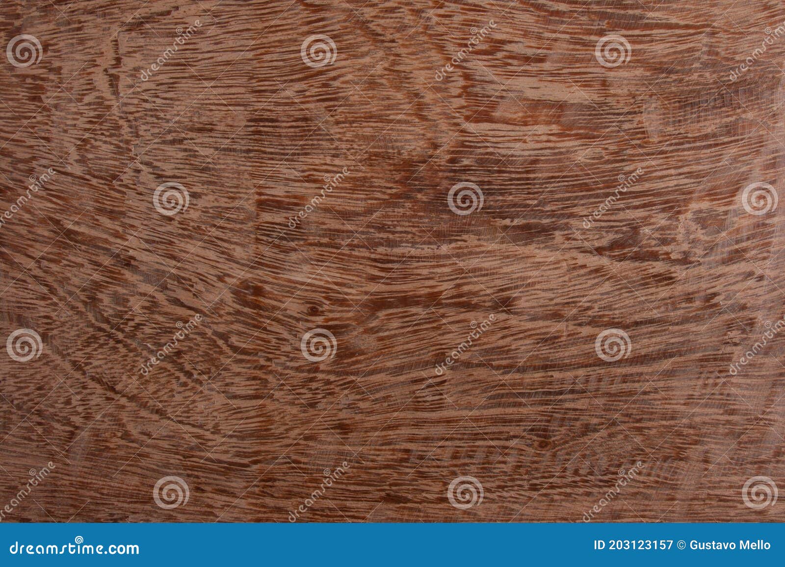 Detail of Brown Rustic Wood Texture. Background Stock Image - Image of ...