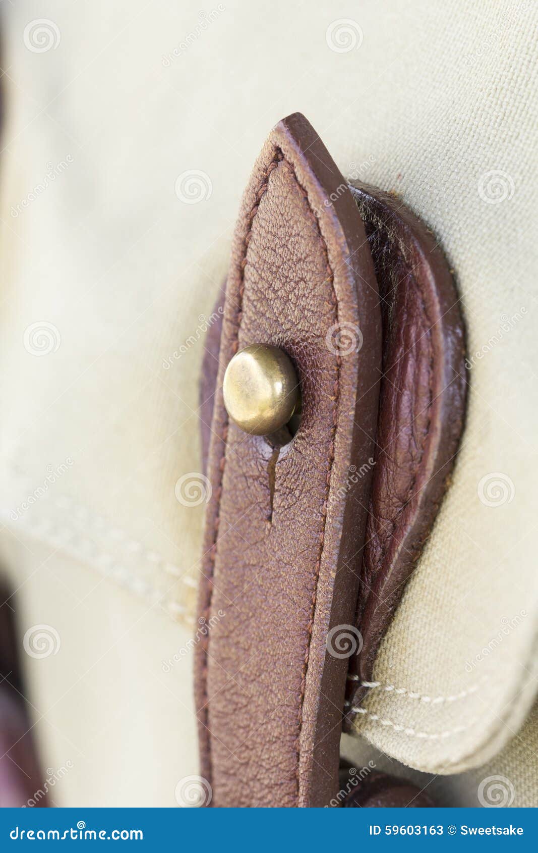 Detail Buckle on Leather Bags Stock Image - Image of knapsack, elegance ...