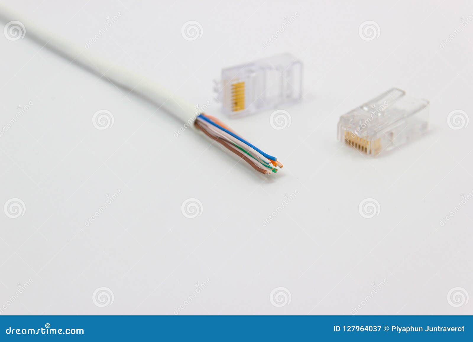 Lan Wires Cat5 Cat6. Hand Holds Wires With High Speed Internet Access ...