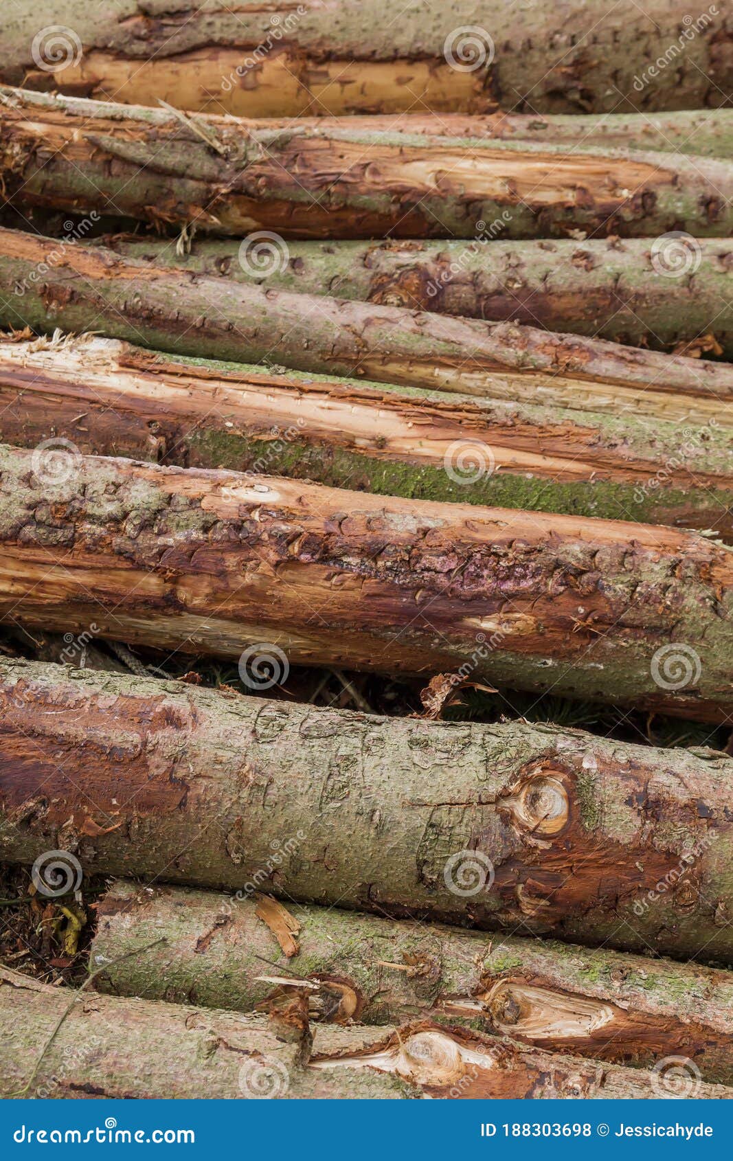 Detail of Chopped Down Logs Heap Stock Photo - Image of conservation ...