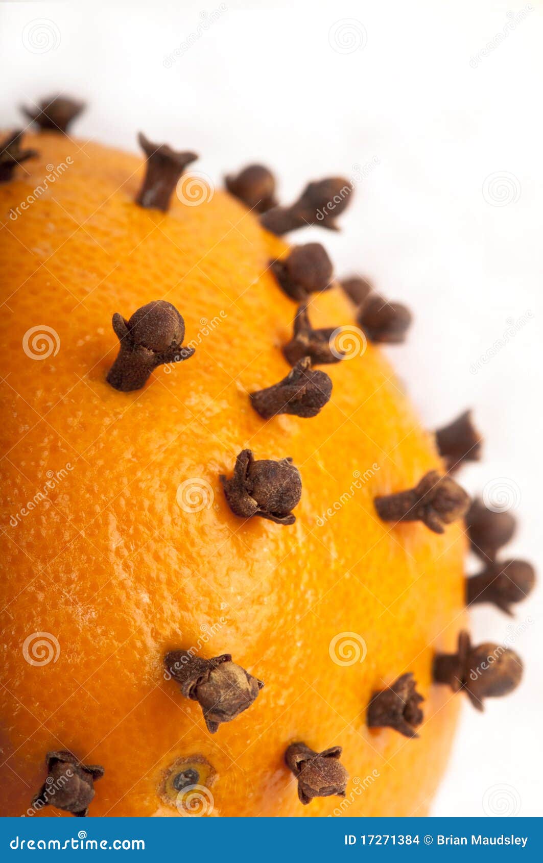 Detail of Christmas Pomander. Stock Photo - Image of mulled, pomander ...