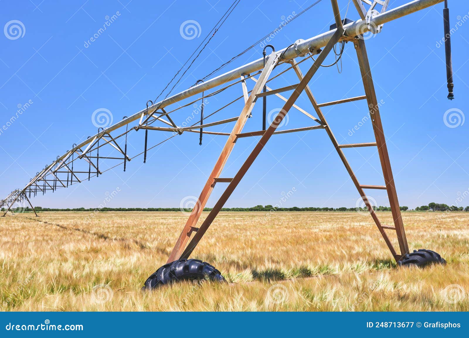 Circular Pivot Irrigation System in a Cereal Field before Mowing Stock ...