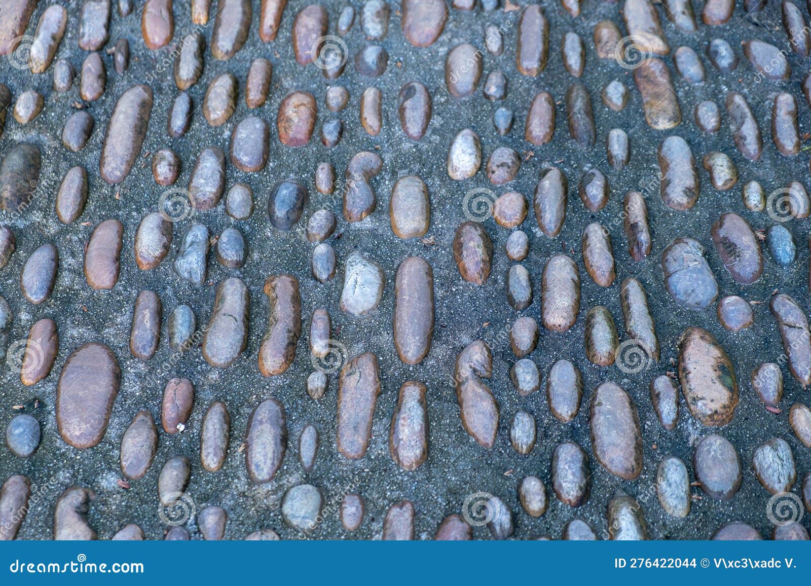 Detail of a Cobblestone Floor with Pebbles Stock Photo - Image of ...