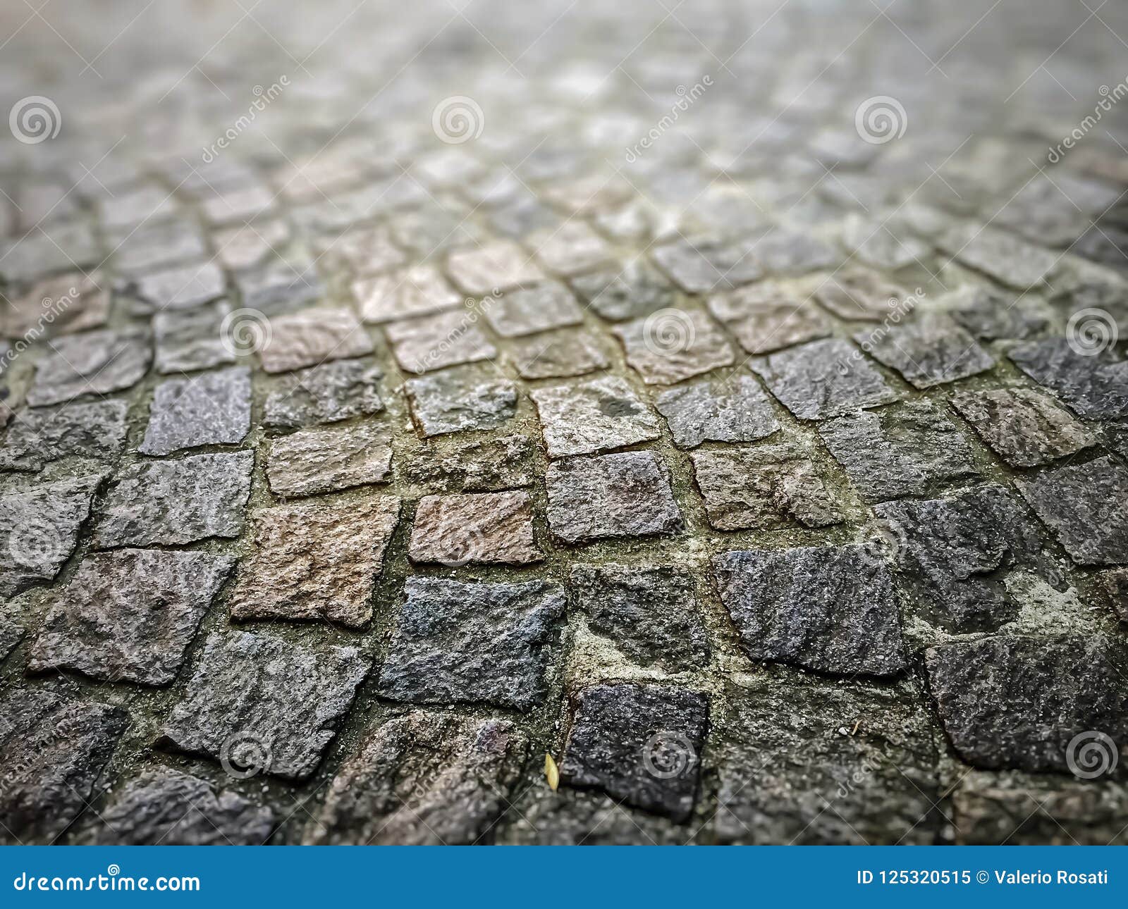 Detail of a Cobblestone Street Stock Image - Image of granite, closeup ...