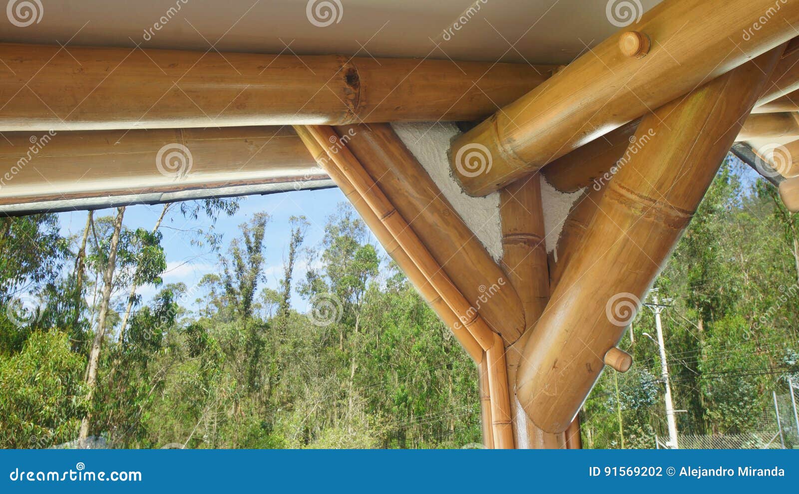 Bamboo Structure Details