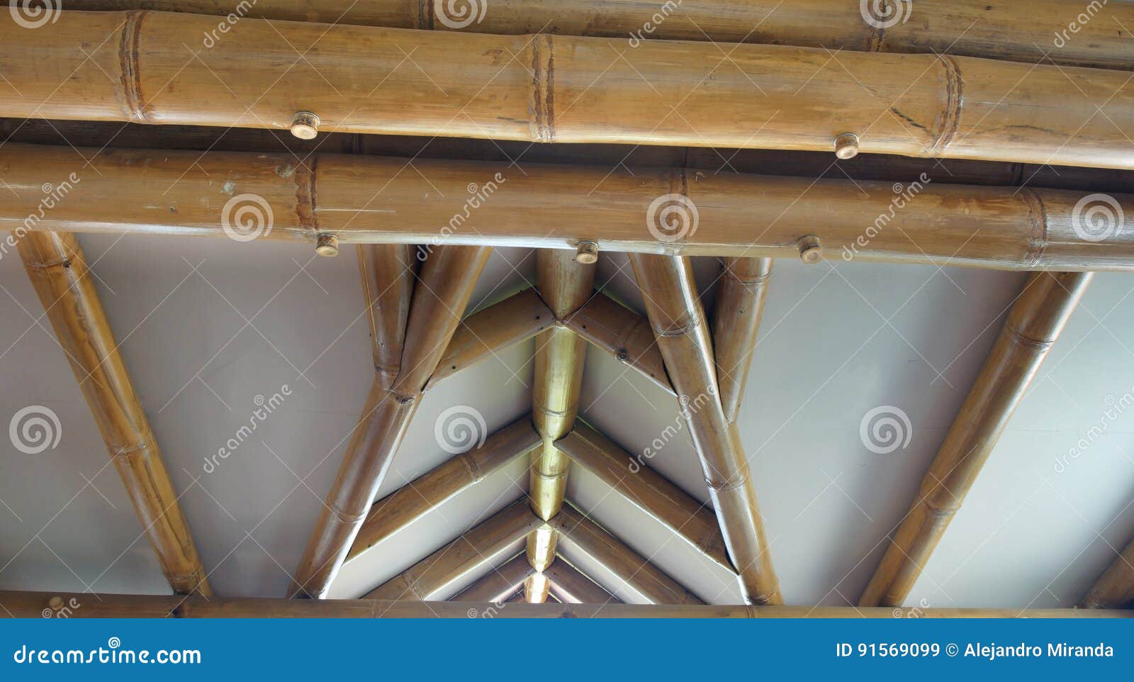 Bamboo Structure Details