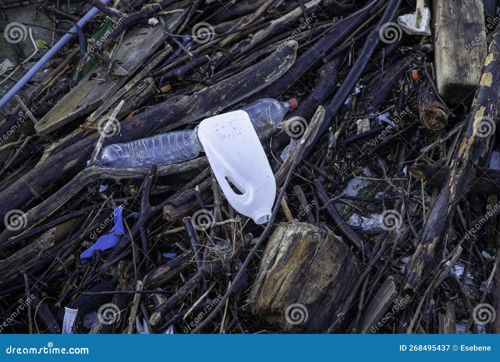 Plastics on the shore stock image. Image of global, factory - 268495437