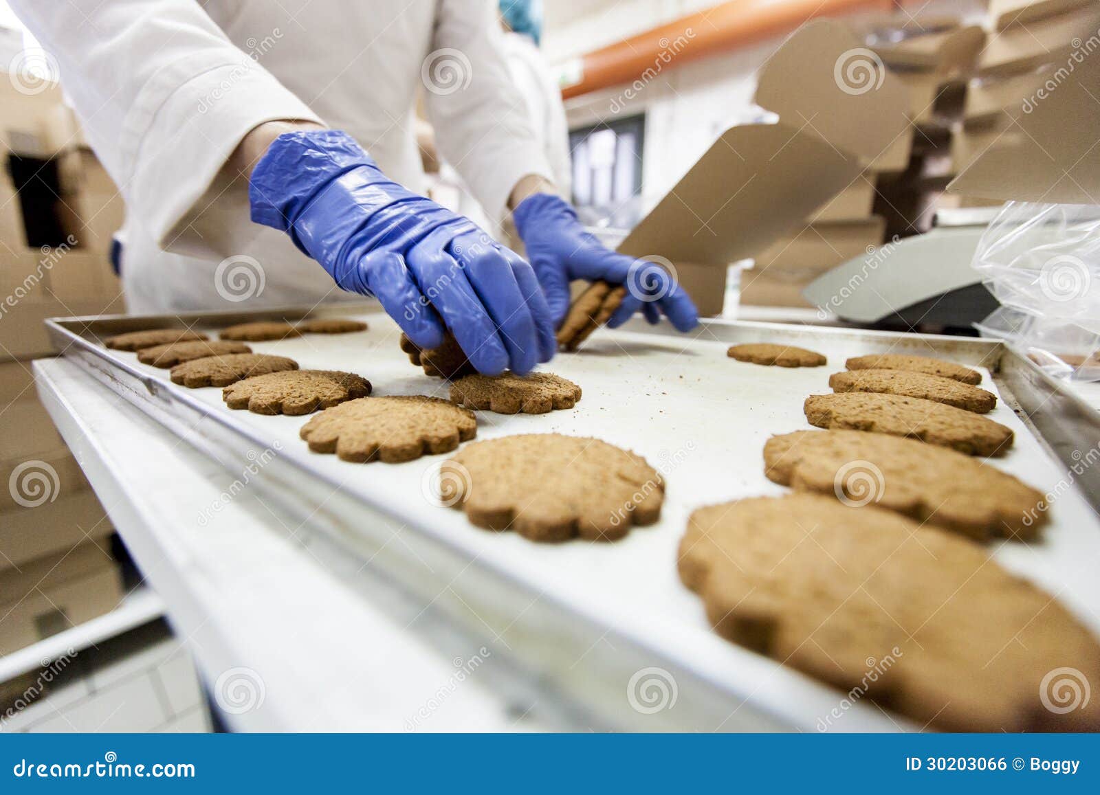 Cookies factory stock photo. Image of cake, work, cakes - 30203066