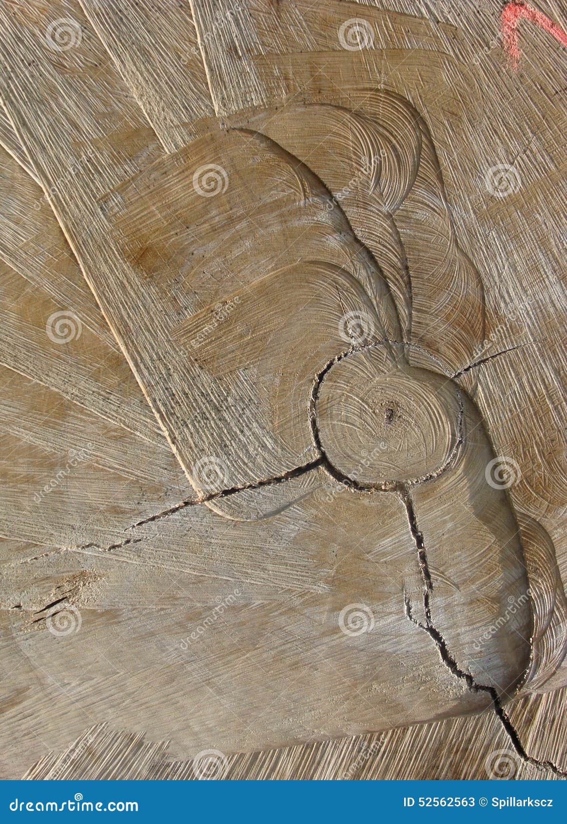 Detail of a Cut Log Tree with Spray Mark Stock Image - Image of bark ...