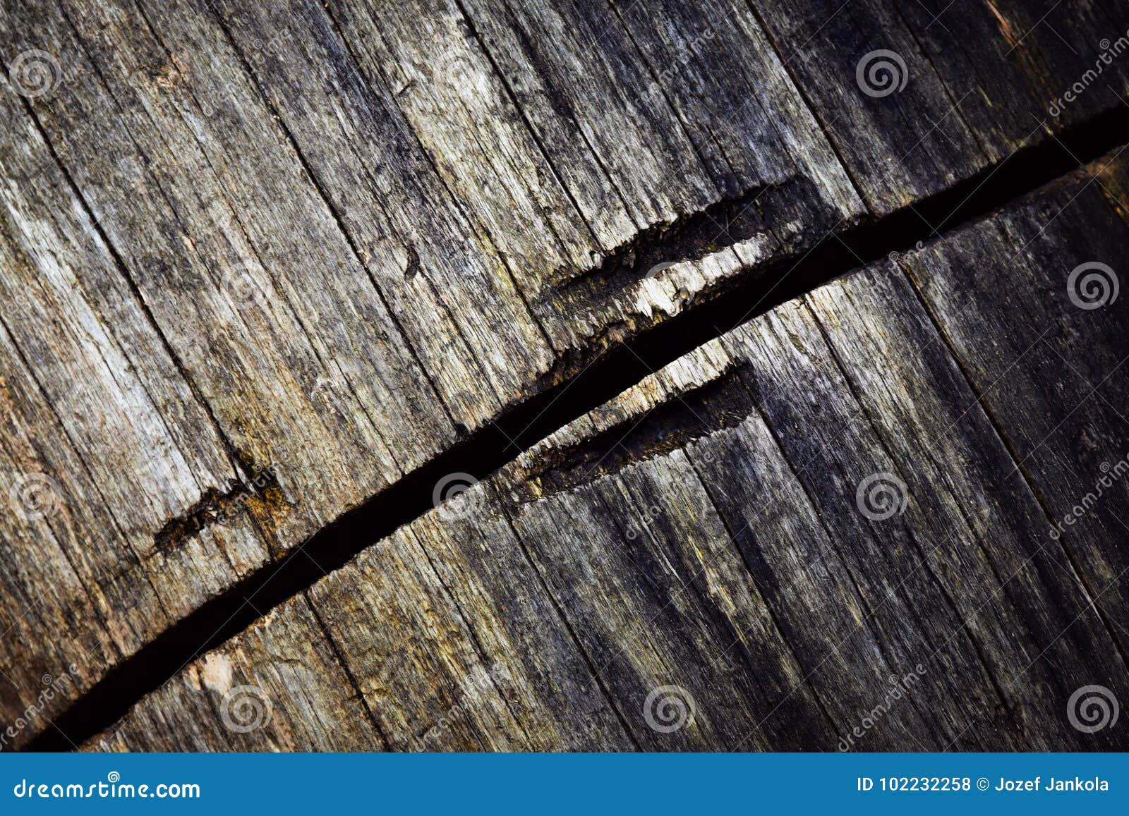 Detail of Cut Notch in Wood Stock Photo - Image of wooden, stump: 102232258