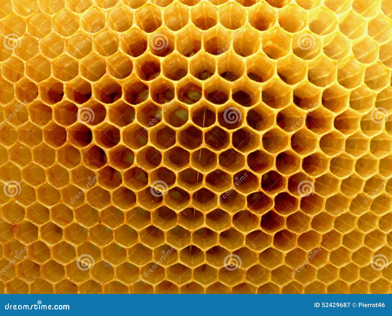 Detail der Bienenwabe stockbild. Bild von hintergrund - 52429687