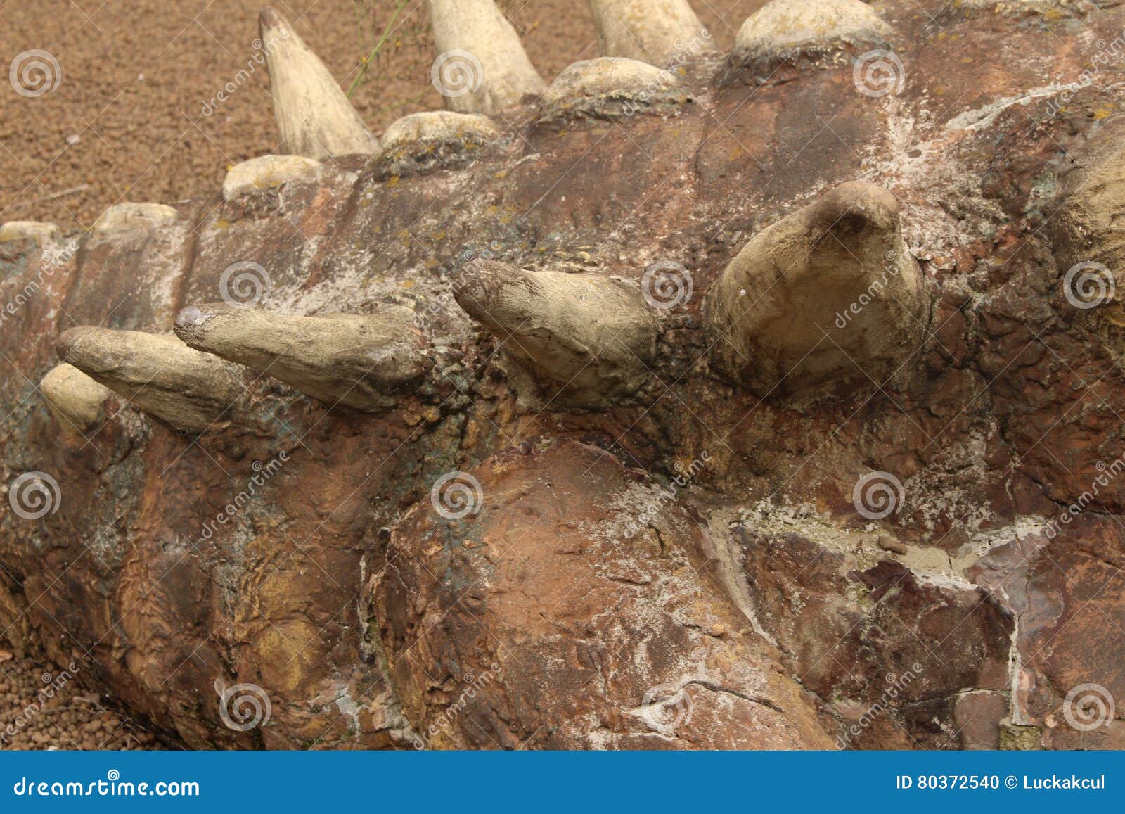 Detail of dinosaur tail stock photo. Image of prey, lithe - 80372540