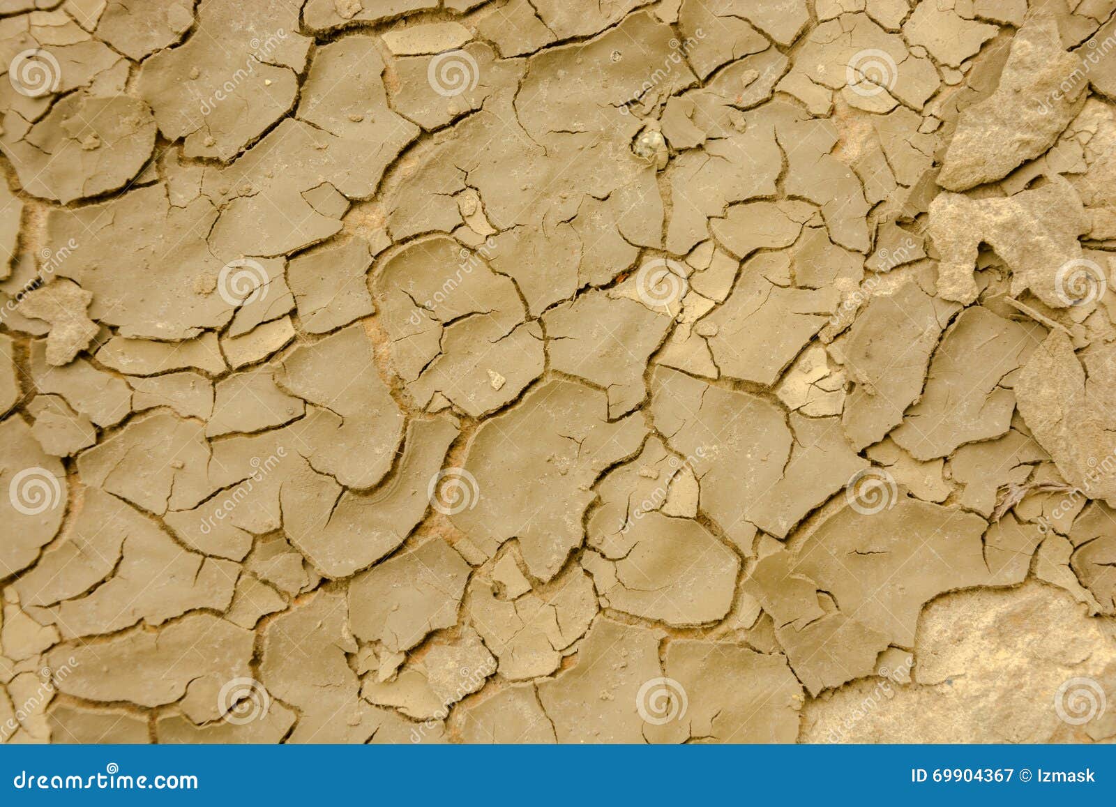 Detail of the Dried Out Land Stock Image - Image of environment, detail ...